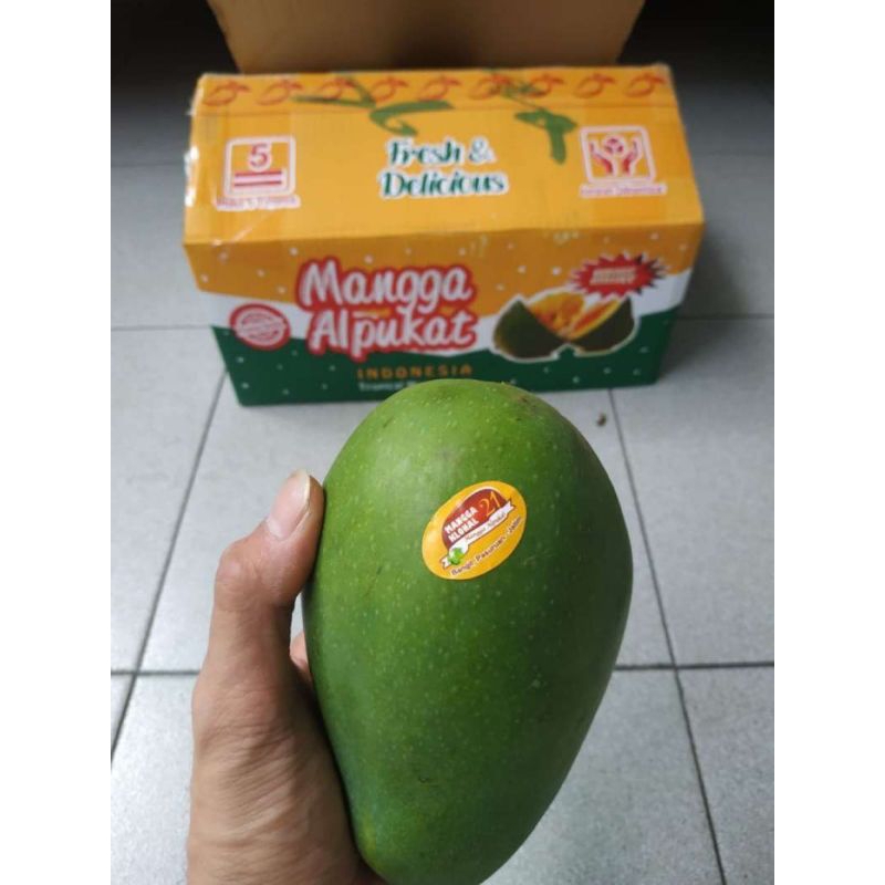 Jual Buah Mangga Alpukat Super Manis 1kg | Shopee Indonesia
