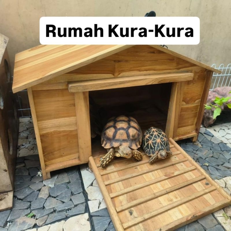 Jual Rumah Kura-kura Rumah kura kura Brazil Kandang Kura Kura | Shopee Indonesia