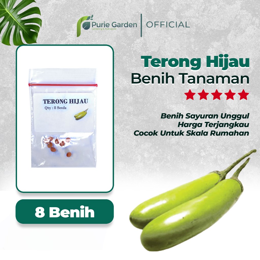 Jual Benih Bibit Terong Hijau 8 Benih PG SBY | Shopee Indonesia