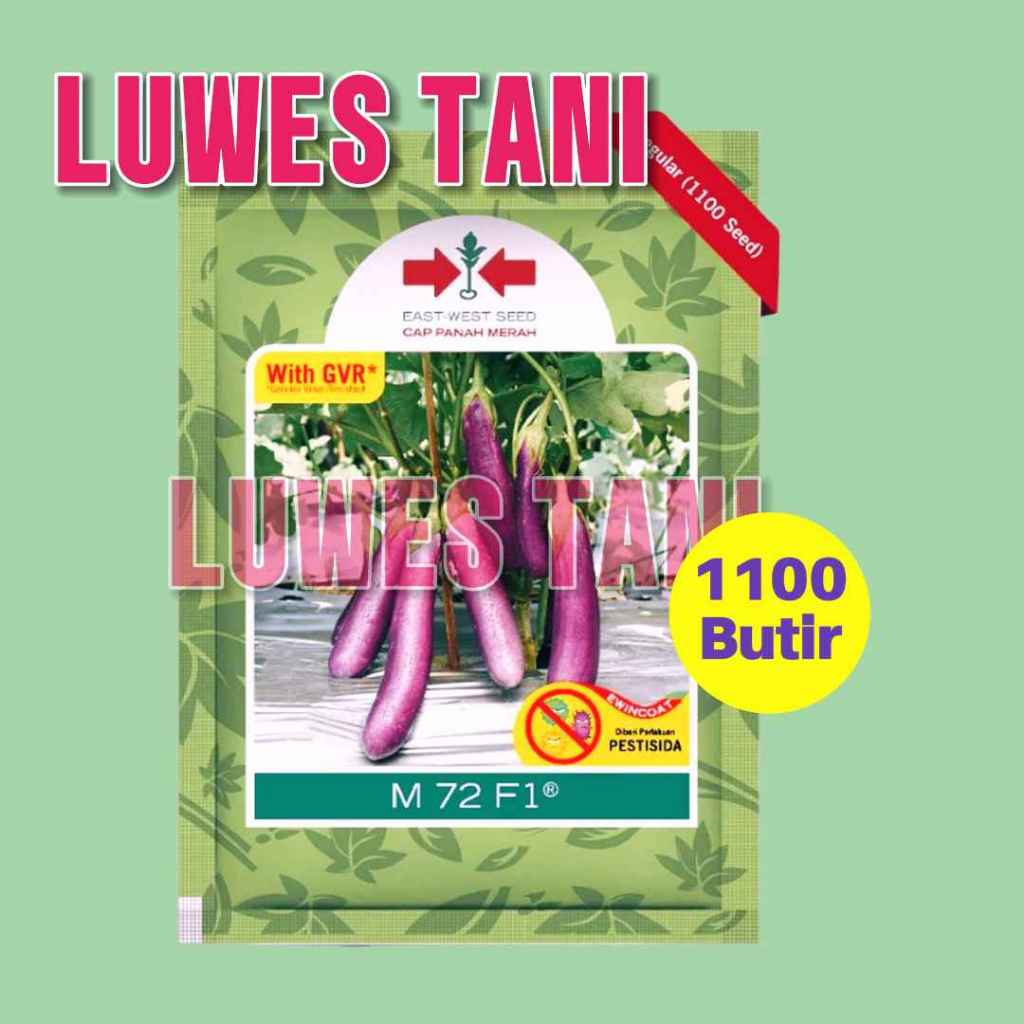 Jual Benih Terong Ungu M 72 F1 Panah Merah isi 1100 butir tavi M72 | Shopee Indonesia