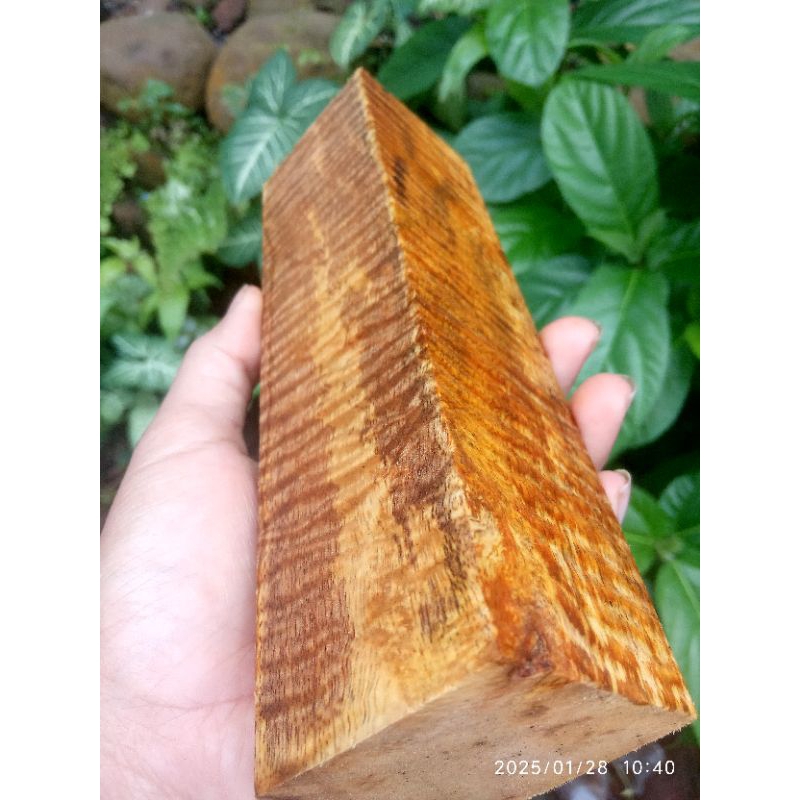 Jual kayu Curly/kerinting mangga hutan (gagang) ukuran 20x5x5cm ...