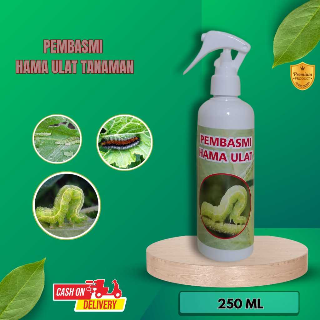Jual Spray Pembasmi Hama Ulat Tanaman | Pengusir Hama Ulat Tumbuhan ...