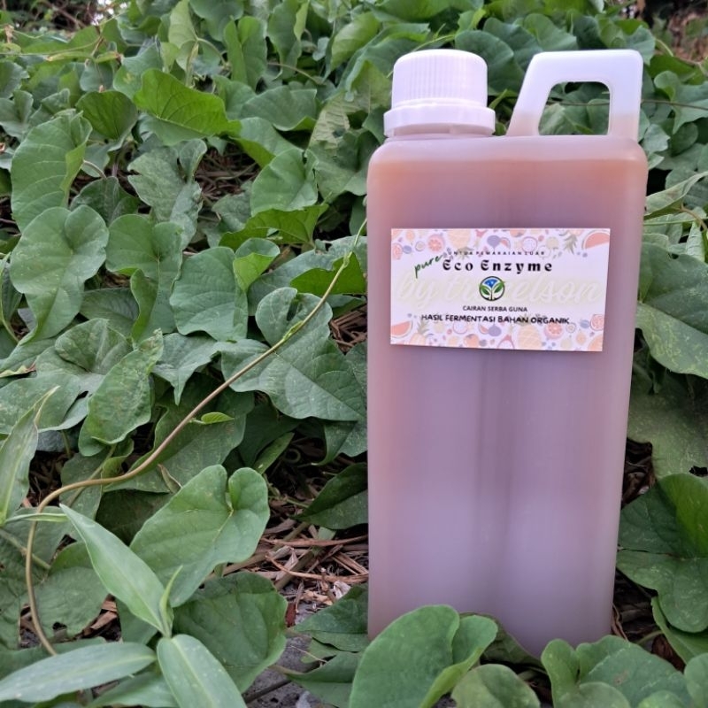 Jual Eco Enzyme Murni Cairan Organik Serbaguna 1 liter Pupuk Enzim ...