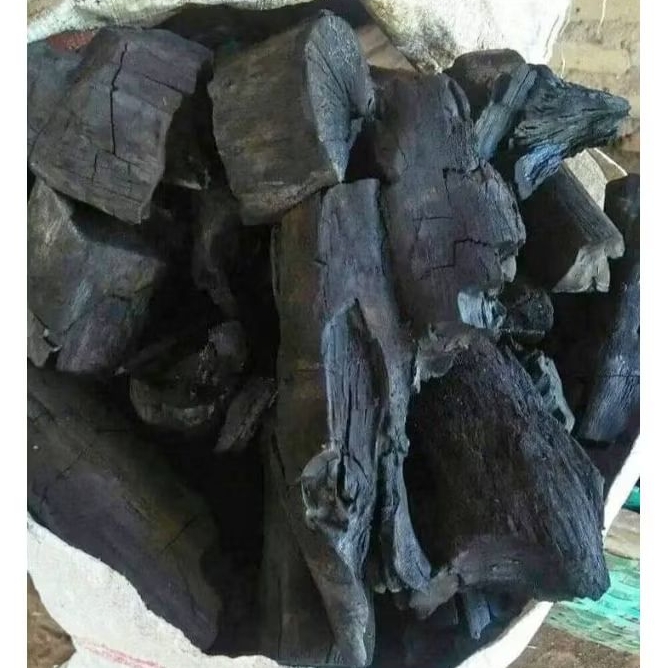Jual ARANG ARENG KAYU BAKAR UNTUK SATE BBQ IKAN DLL BERAT 1KG | Shopee Indonesia