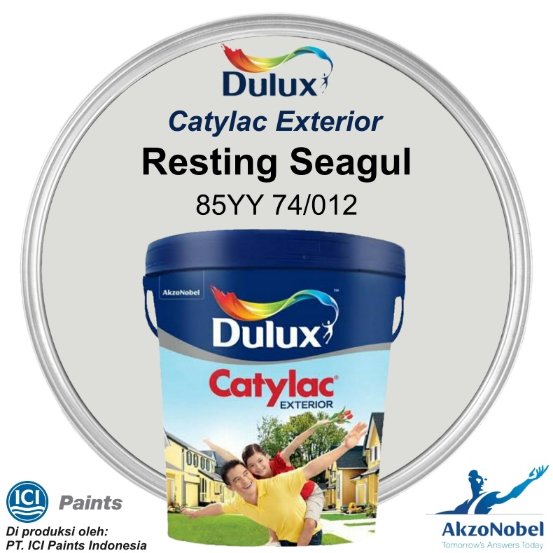 Jual CAT DULUX CATYLAC EXTERIOR 5 KG - RESTING SEAGUL 85YY 74/012 ...