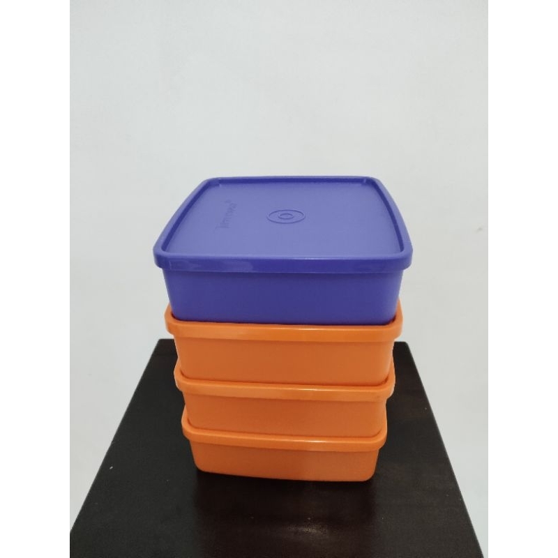 Jual Tupperware square away kotak bekal kapsitas 650 ml | Shopee Indonesia