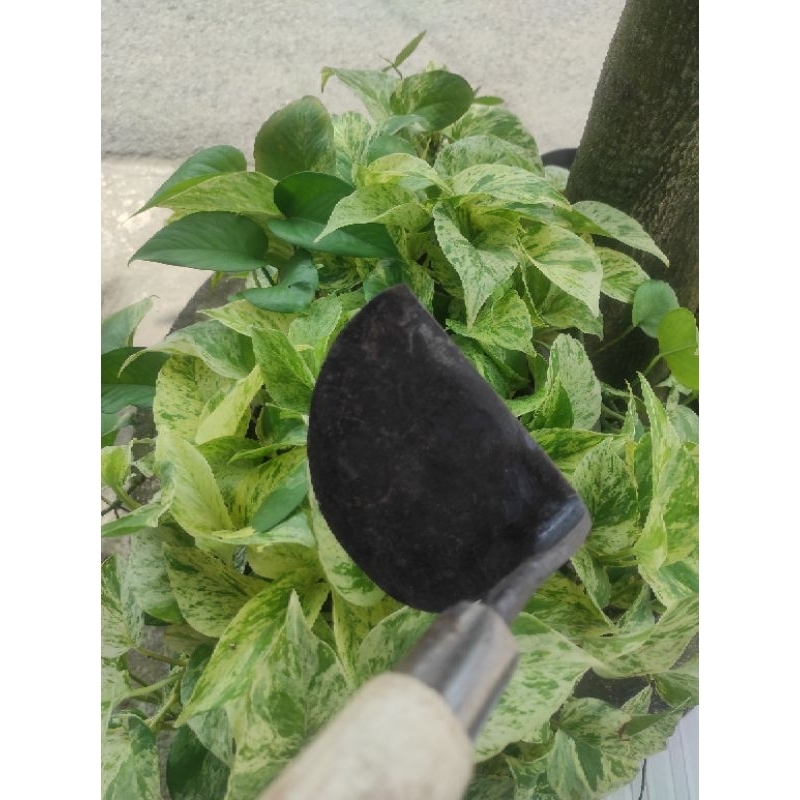 Jual kecrek / koret / wangkil pacul kecril | Shopee Indonesia