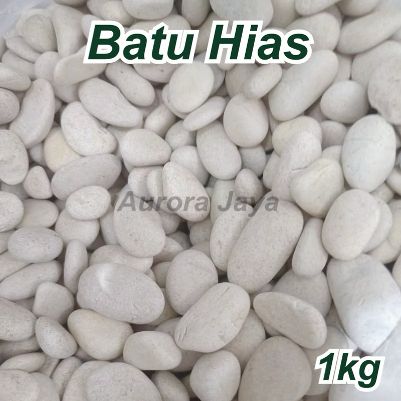 Jual Batu Koral Putih 1kg Batu Hias | Batu Taman | Batu Aquarium 1 kilogram | Shopee Indonesia