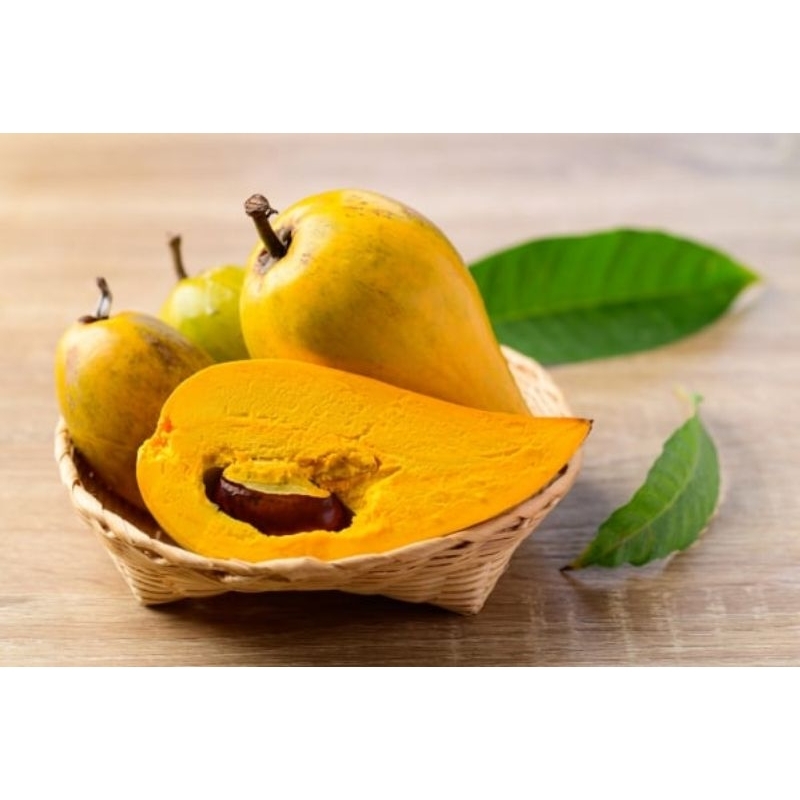 Jual Sawo Belanda-buah alkesa 500 gram | Shopee Indonesia