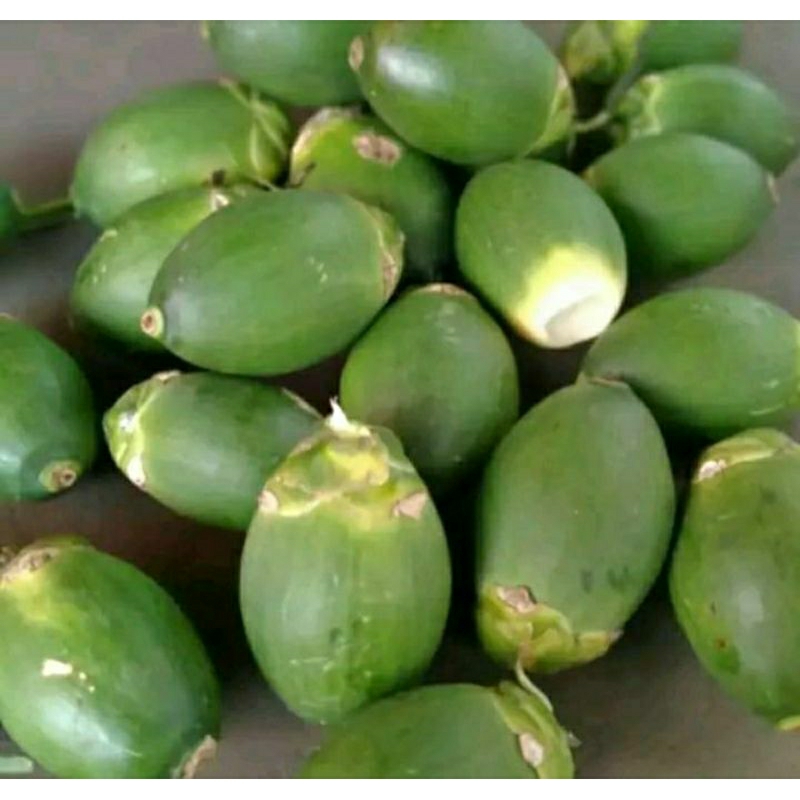 Jual BUAH PINANG MUDA ASLI NTT 1 PAKET 7 BUAH | Shopee Indonesia