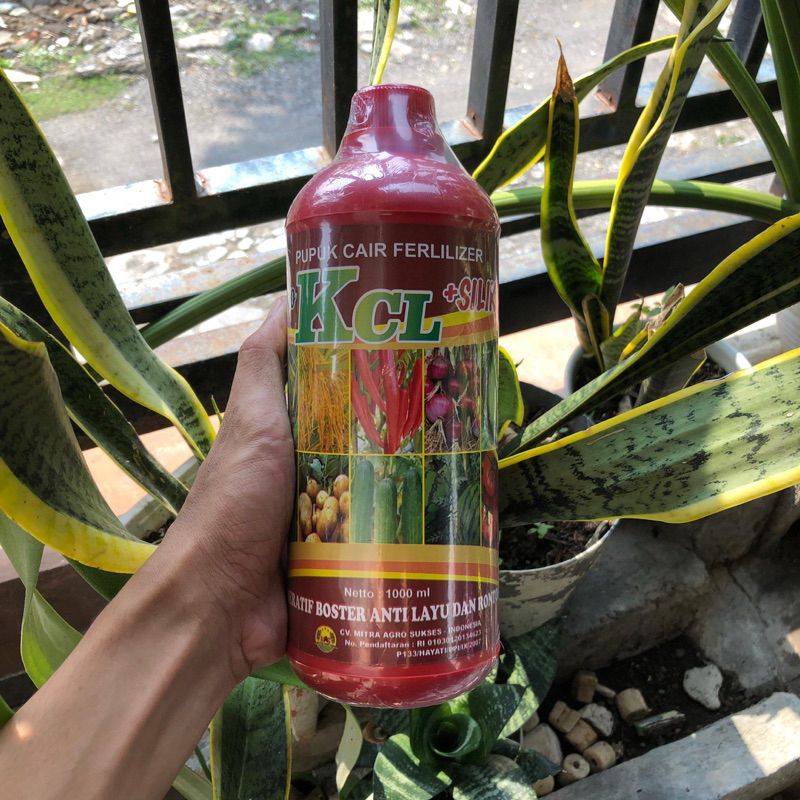 Jual Pupuk Semprot Bio KCL Plus Silika Kemasan 1 liter | Shopee Indonesia