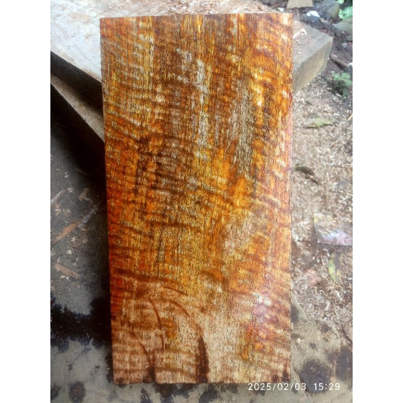 Jual kayu Carly / keriting mangga (papan) ukuran 30x15x4cm. | Shopee ...