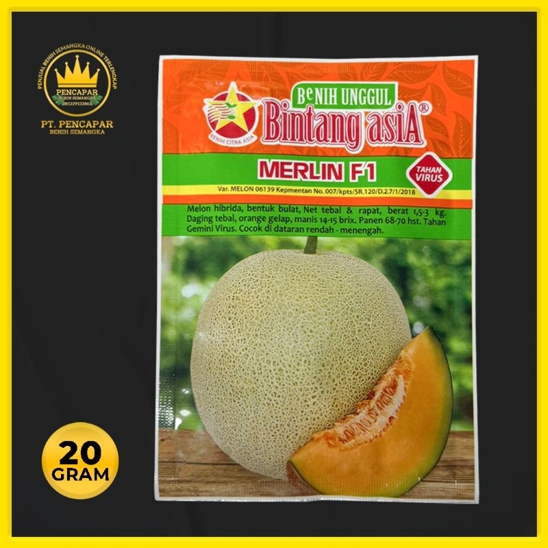 Jual BENIH MELON MERLIN F1 - BINTANG ASIA - 20 GRM ISI 1000 BUTIR ...