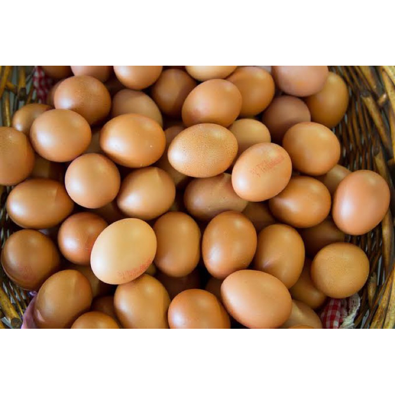 Jual TELUR / Telur dalam Negeri / INSTANT | Shopee Indonesia