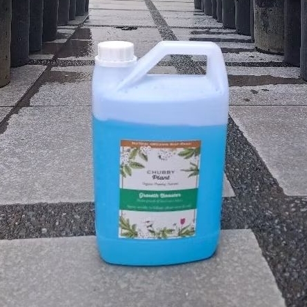 Jual Chubby Plant pupuk cair (siap pakai) nutrisi grow pelebat tanaman ...