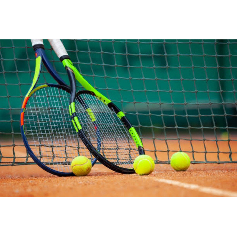 Jual Raket Tenis Lapangan Carbon Premium + Senar Dunlop S-gut free Tas ...