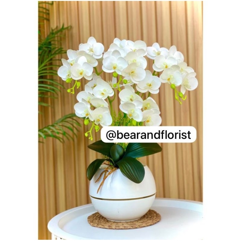 Jual Bearandflorist Hampers Bunga Tanaman Hias Putih Anggrek Pot ...