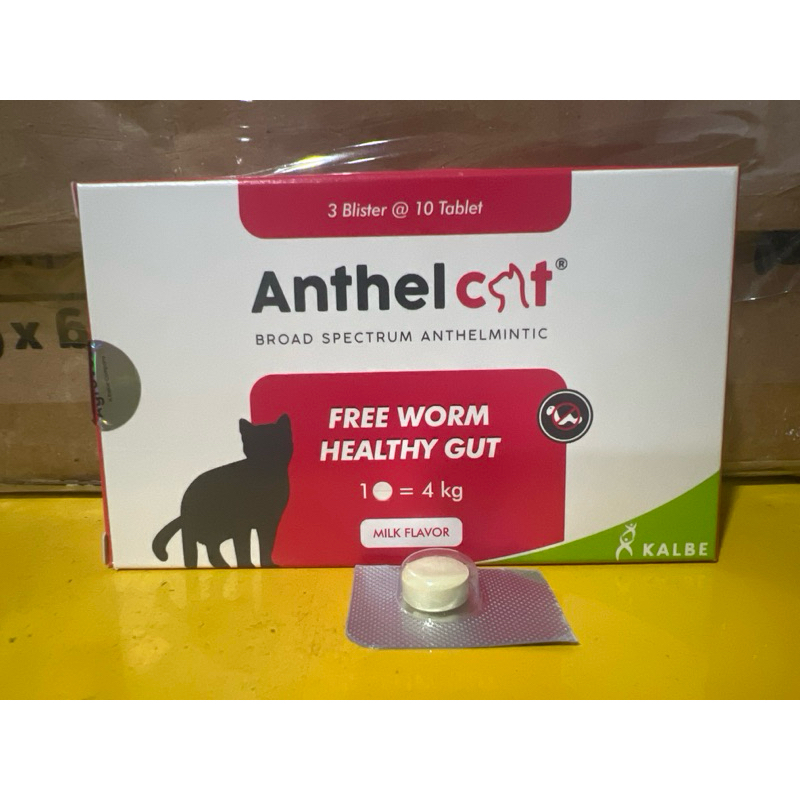 Jual ANTHEL CAT 1 TABLET - Obat Cacing Kucing BY Kalbe Animal Health ...