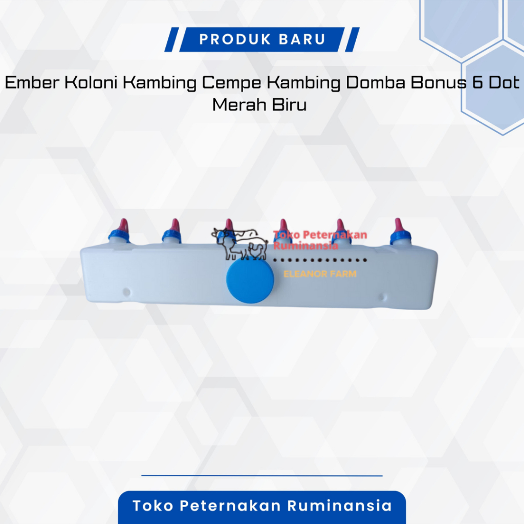Jual Ember Koloni Kambing Cempe Kambing Domba Bonus 6 Dot Merah Biru ...