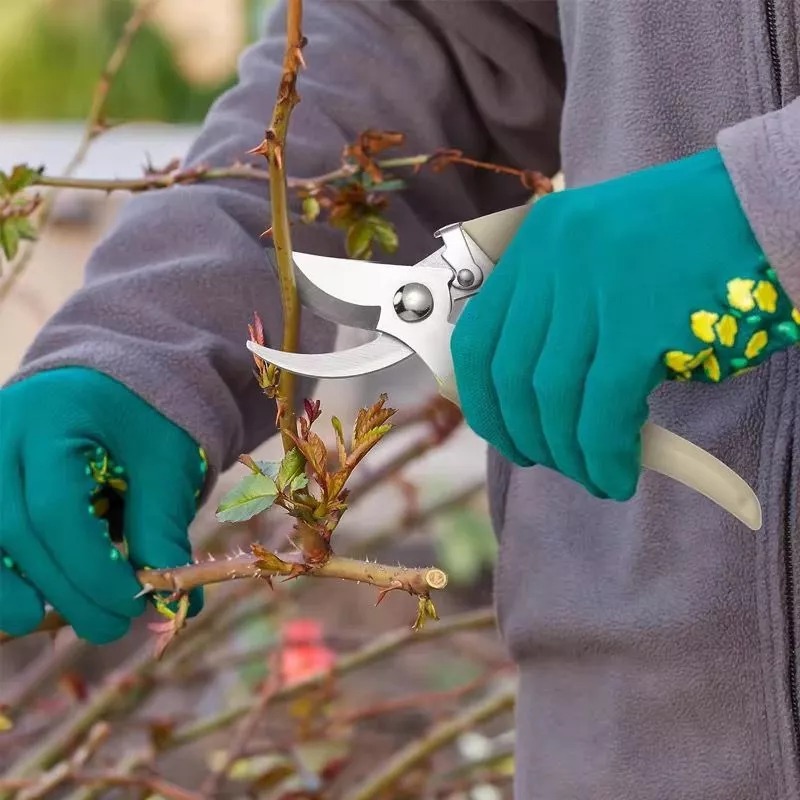 Jual gunting ranting dahan tanaman hias bonsai mawar ranting bunga ...