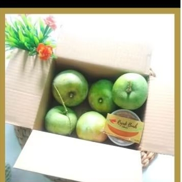 Jual paket rujak mangga 1kg (mangga muda) | Shopee Indonesia
