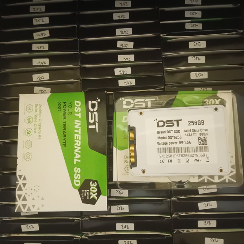 Jual SSD 256GB DST SATA III GARANSI RESMI | Shopee Indonesia