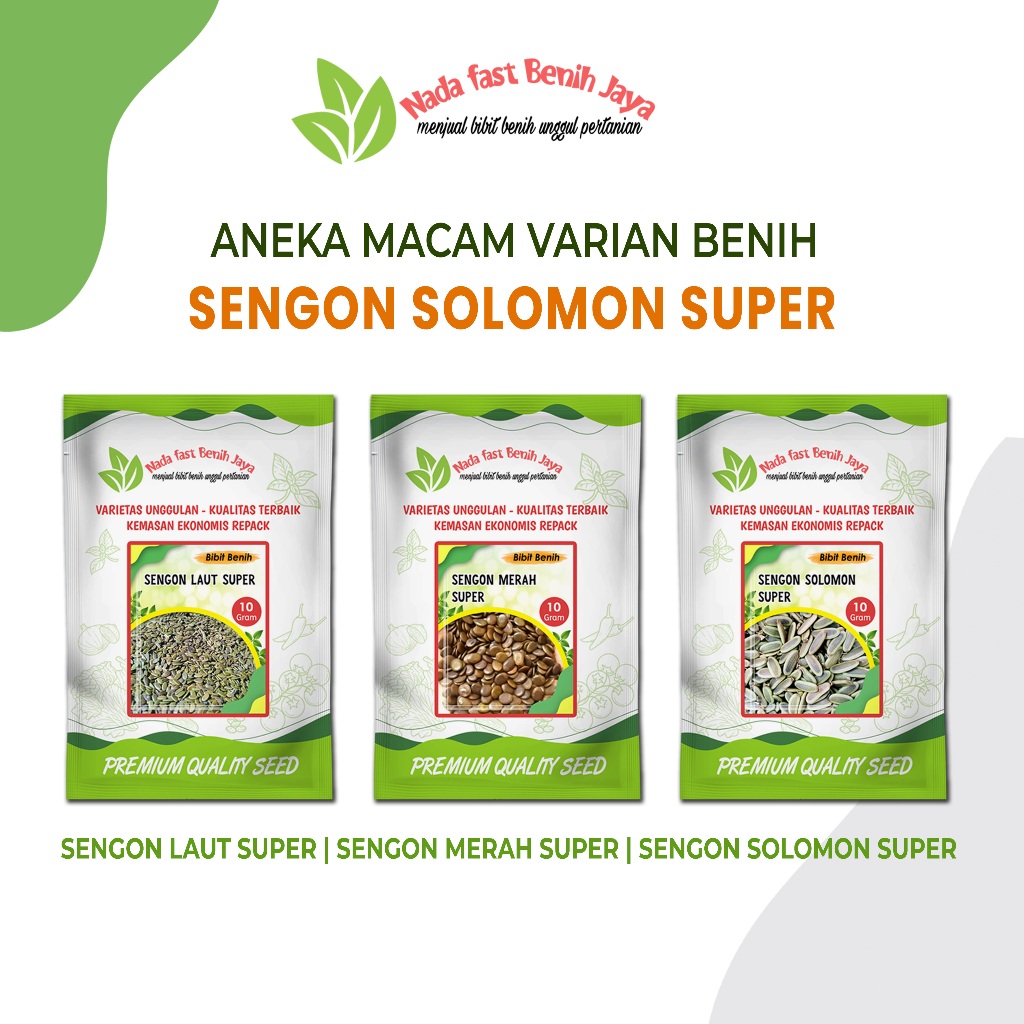 Jual Nada fast benih jaya - Aneka macam varian benih sengon solomon ...