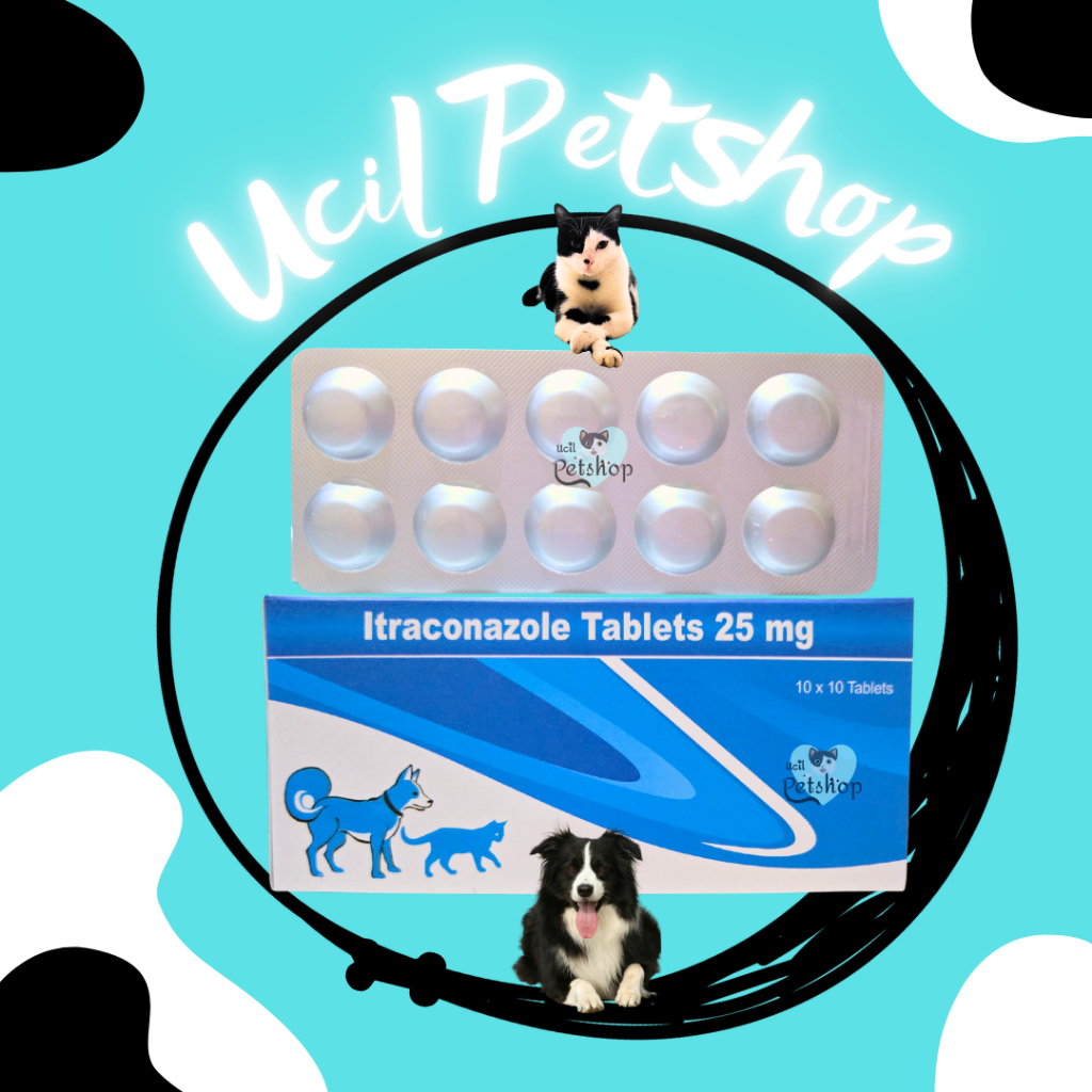 Jual Itraconazole 25mg Obat Anti Jamur Ringworm Kucing Anjing (1 TABLET ...