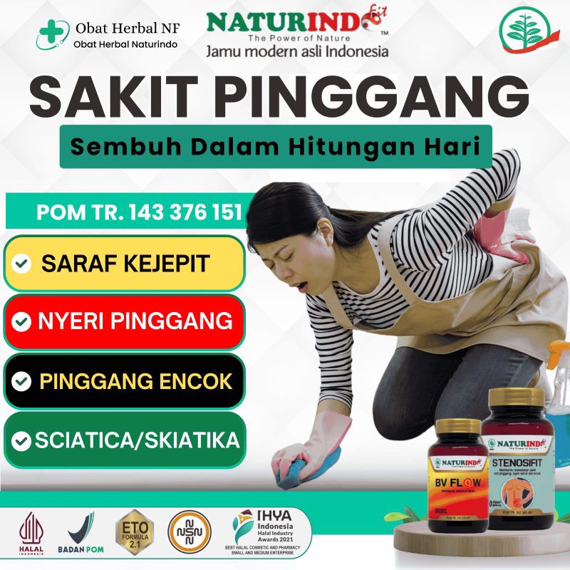 Jual 𝗦𝗖𝗜𝗔𝗧𝗜𝗞𝗔 𝗦𝗞𝗜𝗔𝗧𝗜𝗞𝗔 Obat Sakit Pinggang Saraf Kejepit Pinggang Dan ...