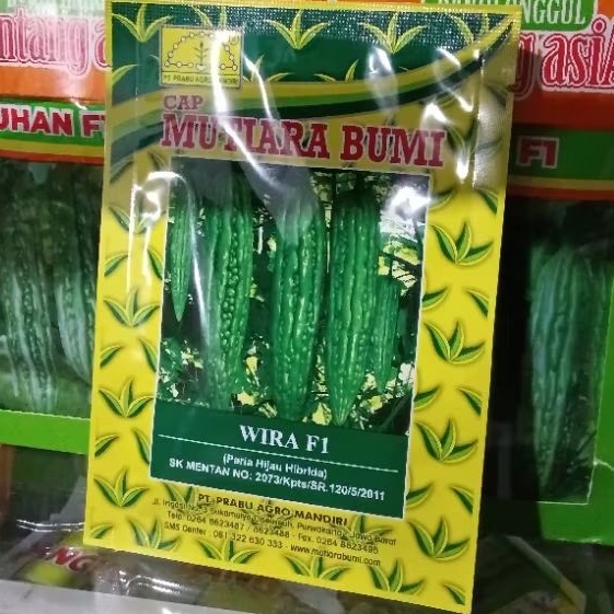 Jual Benih Bibit Umbi Paria Pare Jumbo Wira F1 (Kulit Hijau, Berbobot ...