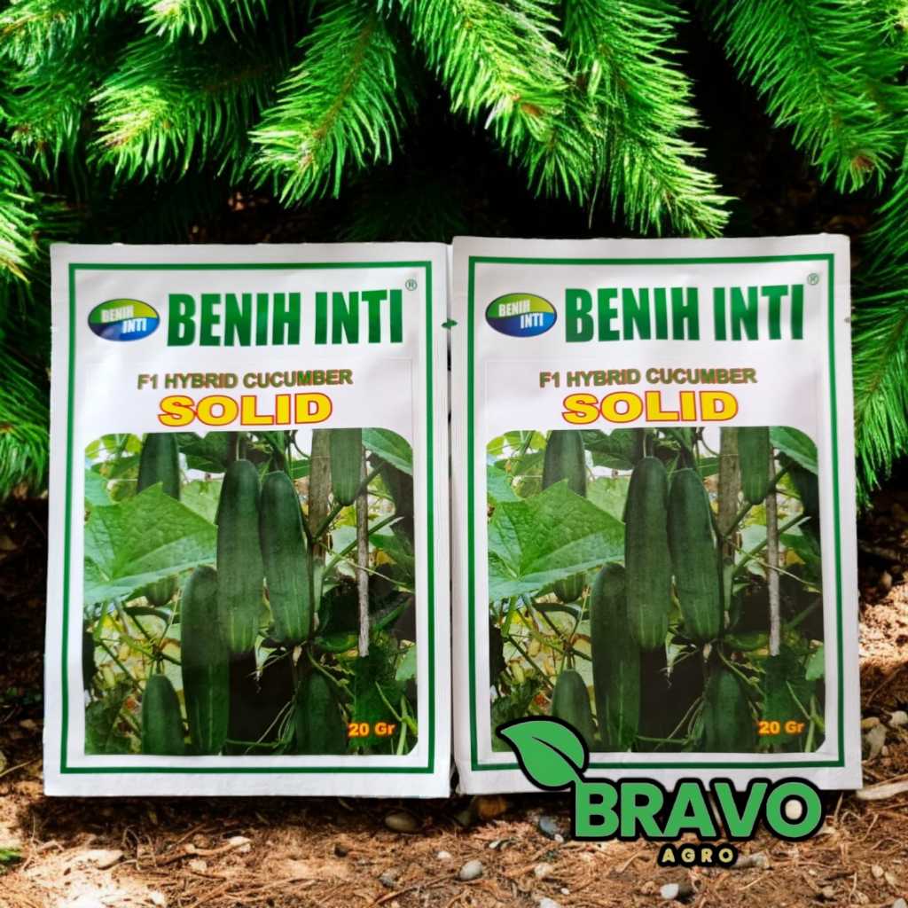 Jual BENIH TIMUN F1 HYBRIDA SOLID 20 GRAM - BENIH INTI 100% ORIGINAL ...