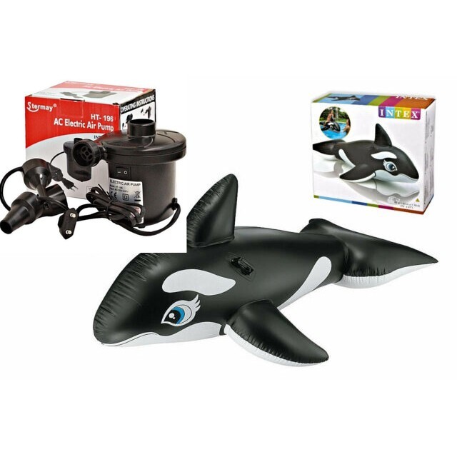 Jual INTEX 58561 PELAMPUNG RENANG JUMBO ANAK PAUS HITAM/ORCA WHALE RIDE ...
