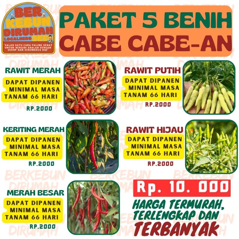 Jual Paket 5 Macam Benih Cabai Cabe Rawit merah Putih Hijau Keriting ...