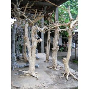 Jual kayu kopi media tempel anggrek | Shopee Indonesia