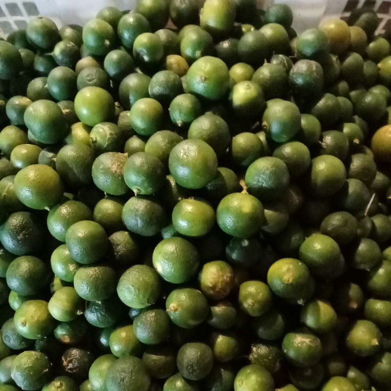 Jual jeruk cui/jeruk sonkit berat 1kg | Shopee Indonesia