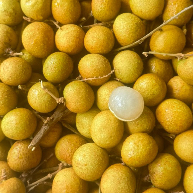 Jual Lengkeng Thailand (500 gram) | Shopee Indonesia