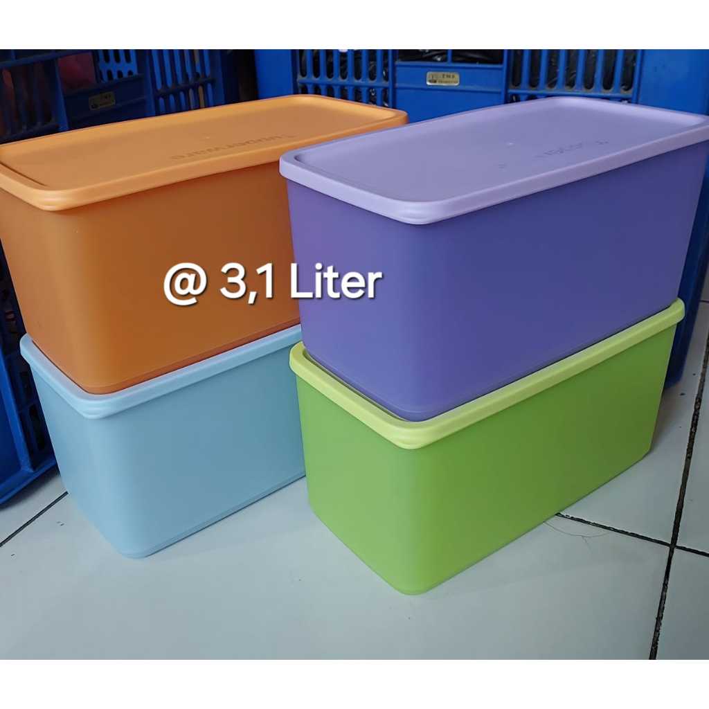 Jual TUPPERWARE Tempat Penyimpanan Funtastic 3,1 L (1 pc) | Shopee ...