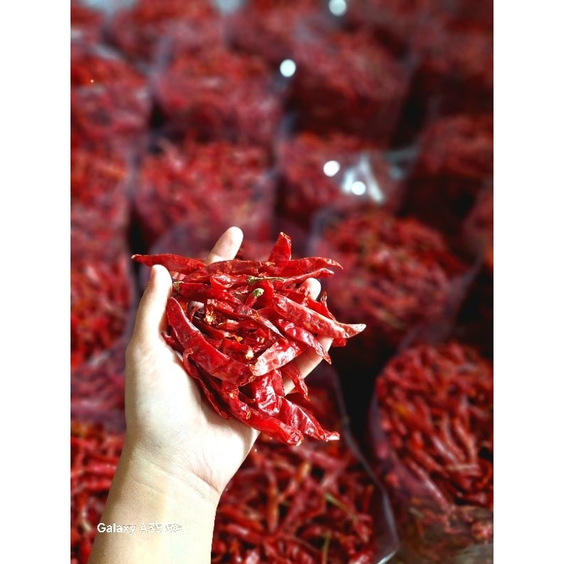 Jual CABE INDIA-CABE TEJA/JAPLAK TANPA TANGKAI KEMASAN 1 KG SUPER PEDAS ...