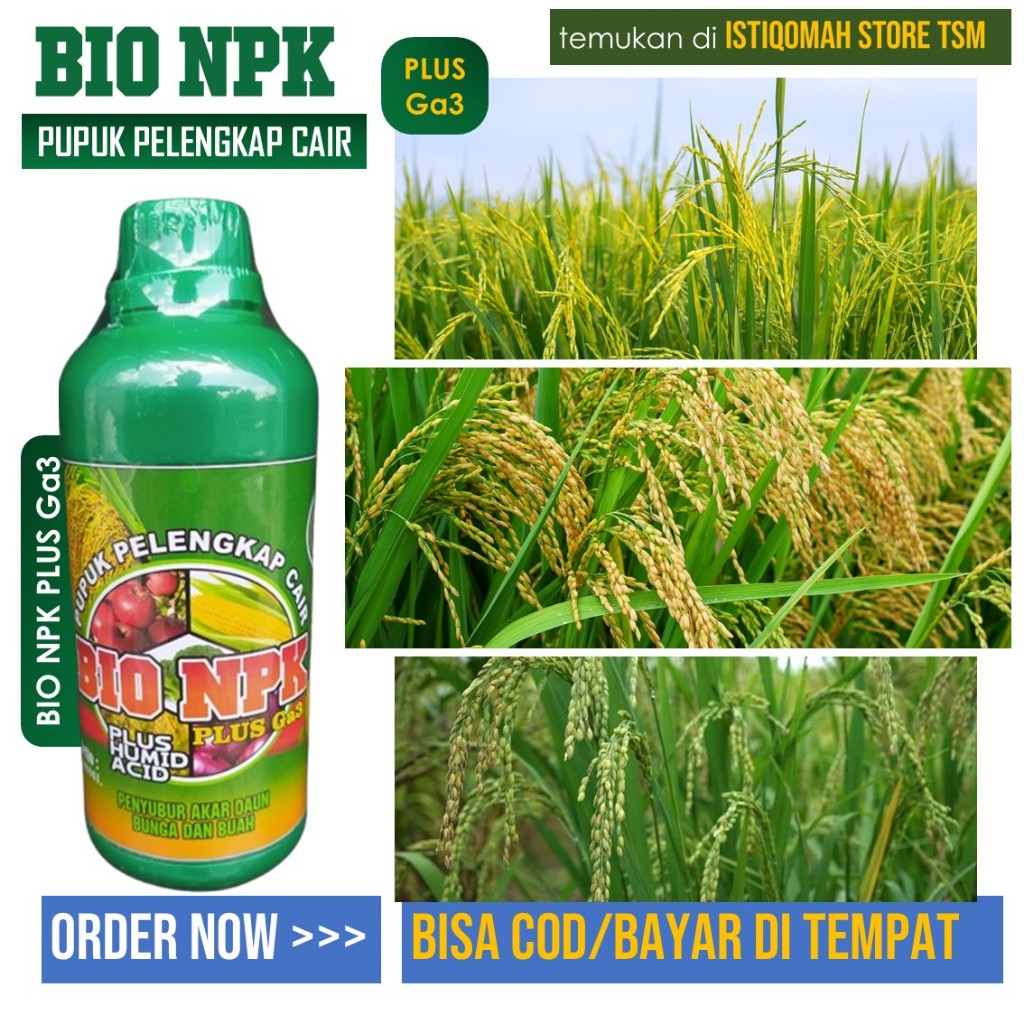 Jual PUPUK PELEBAT PADI BIO NPK GAZA Perbanyak Anakan Padi BOBOT PADI Lebih Berat dan Banyak ...