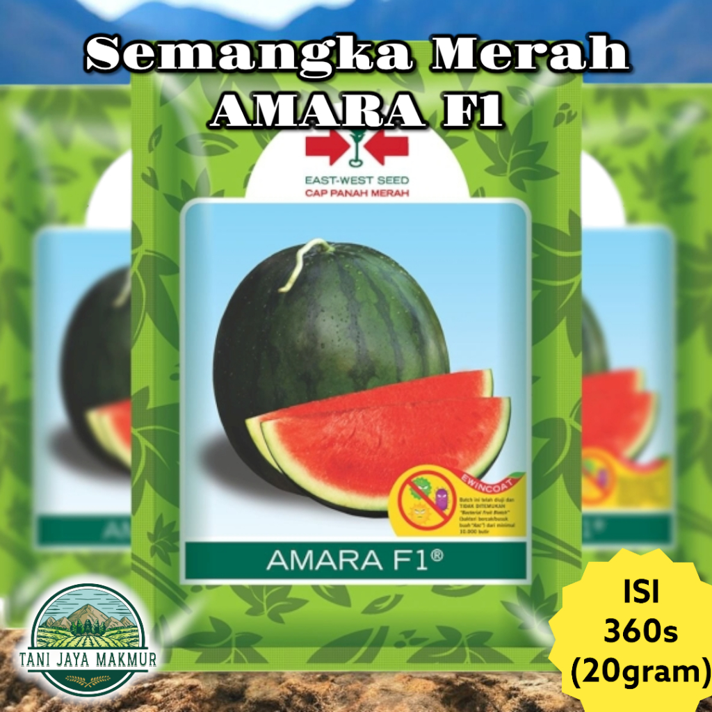 Jual Benih Bibit Buah Semangka Merah Non Biji AMARA F1 360s (20gr) - Cap Panah Merah | Shopee ...