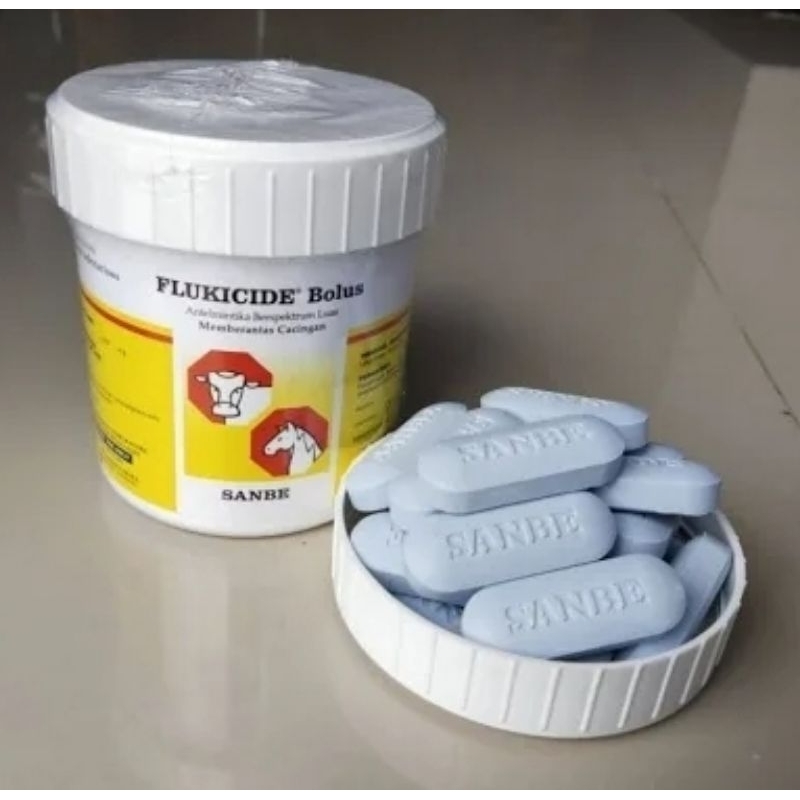 Jual FLUKICIDE BOLUS POT ISI 42 BOLUS SANBE OBAT CACING HEWAN TERNAK ...