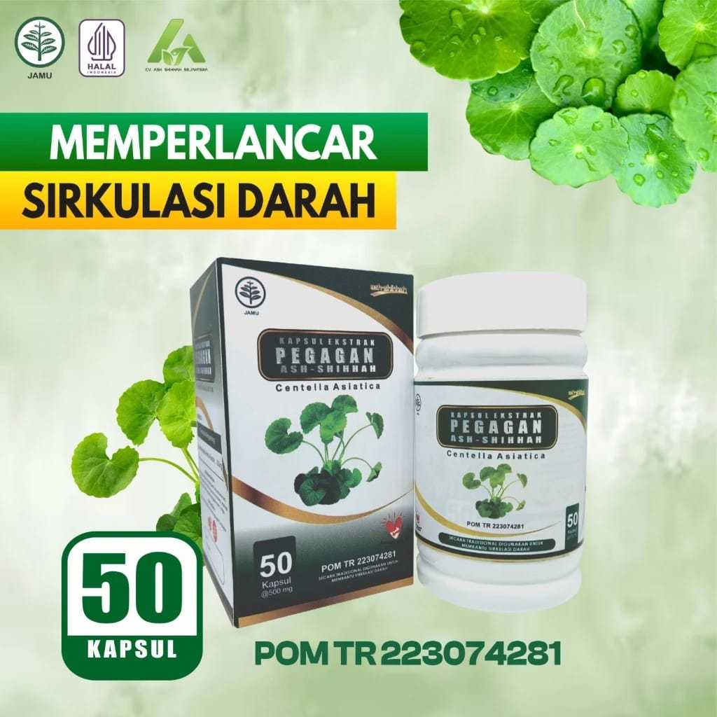 Jual Pegagan (BPOM) Ekstrak Pegagan 50 Kapsul Original Ash-Shihhah | Shopee Indonesia