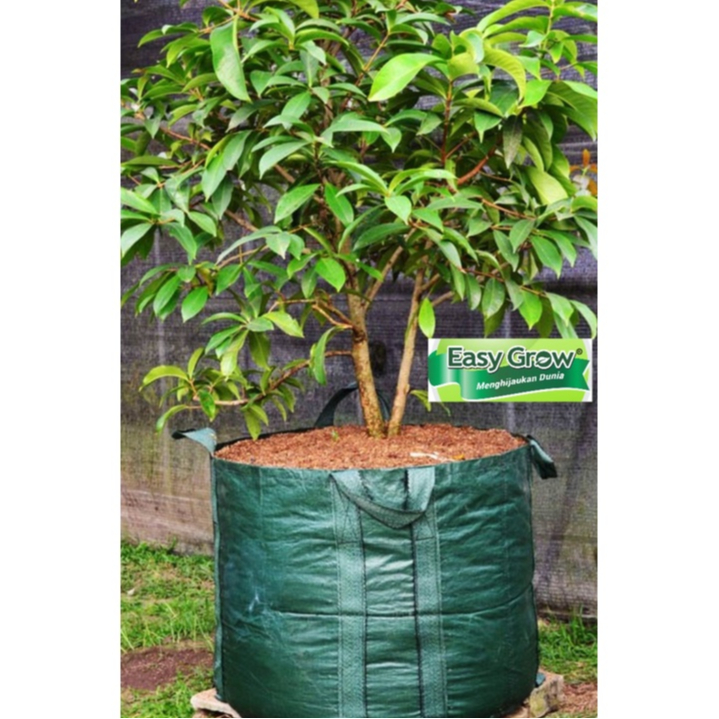 Jual Planter bag 300 Liter EASY GROW planterbag 300liter easygrow ...