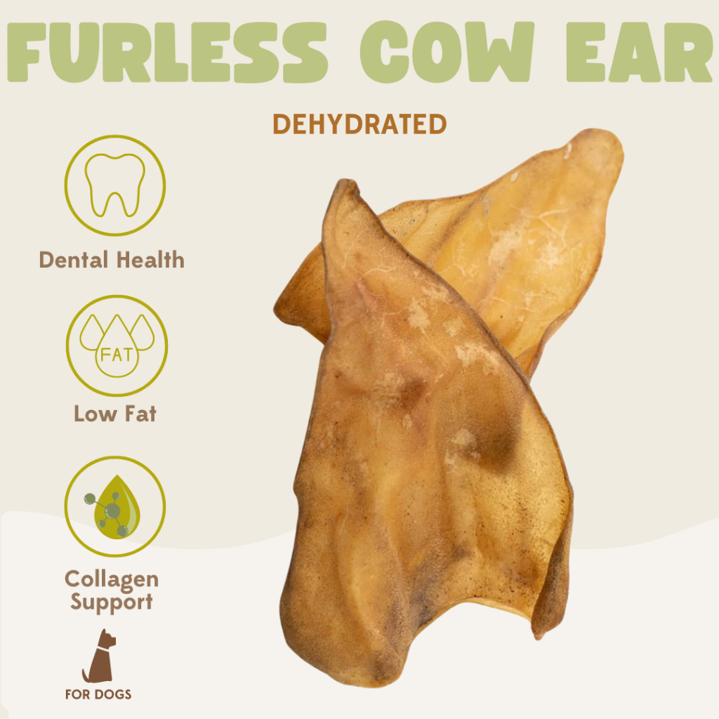 Jual COW EAR /Kuping Telinga Sapi /Tulang Gigitan Anjing Treats Natural ...
