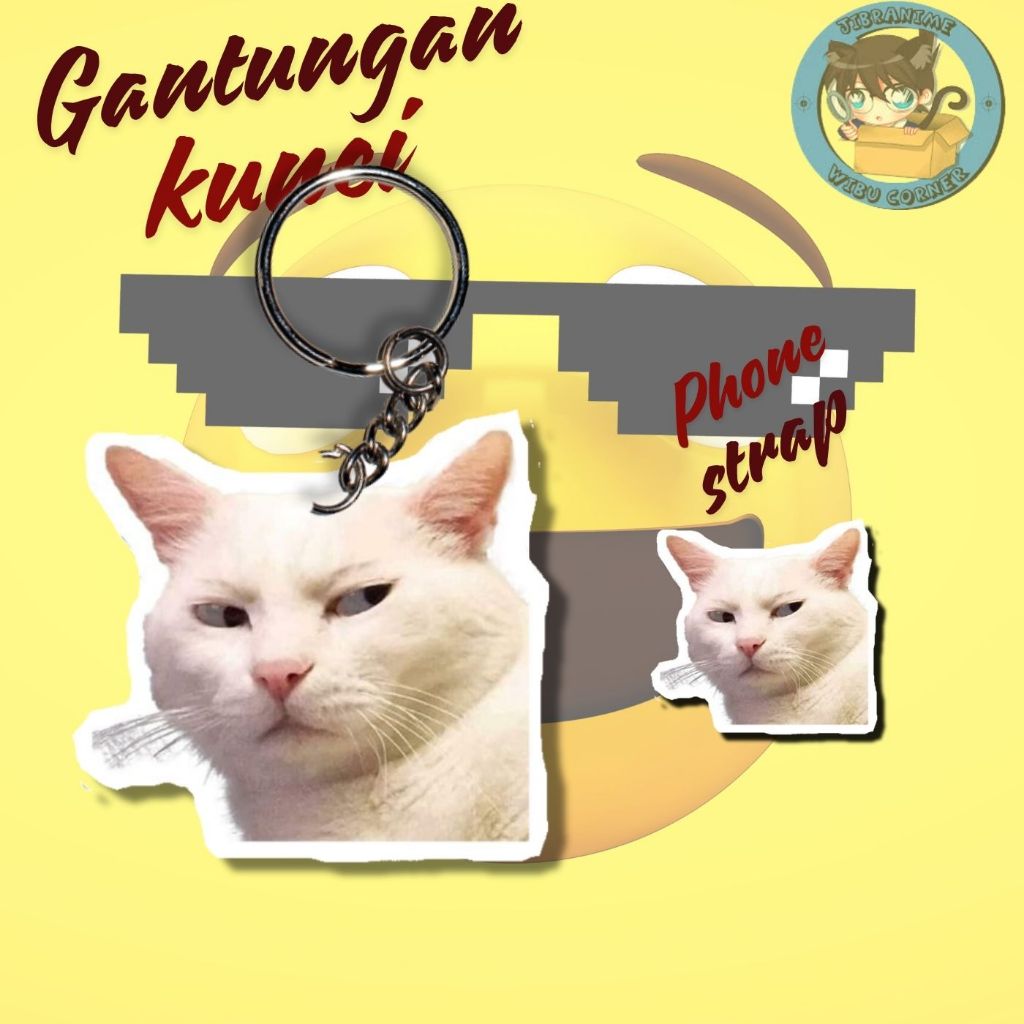 Jual GANTUNGAN KUNCI AKRILIK MEME KUCING DUA SISI/KEYCHAIN MEME KUCING ...
