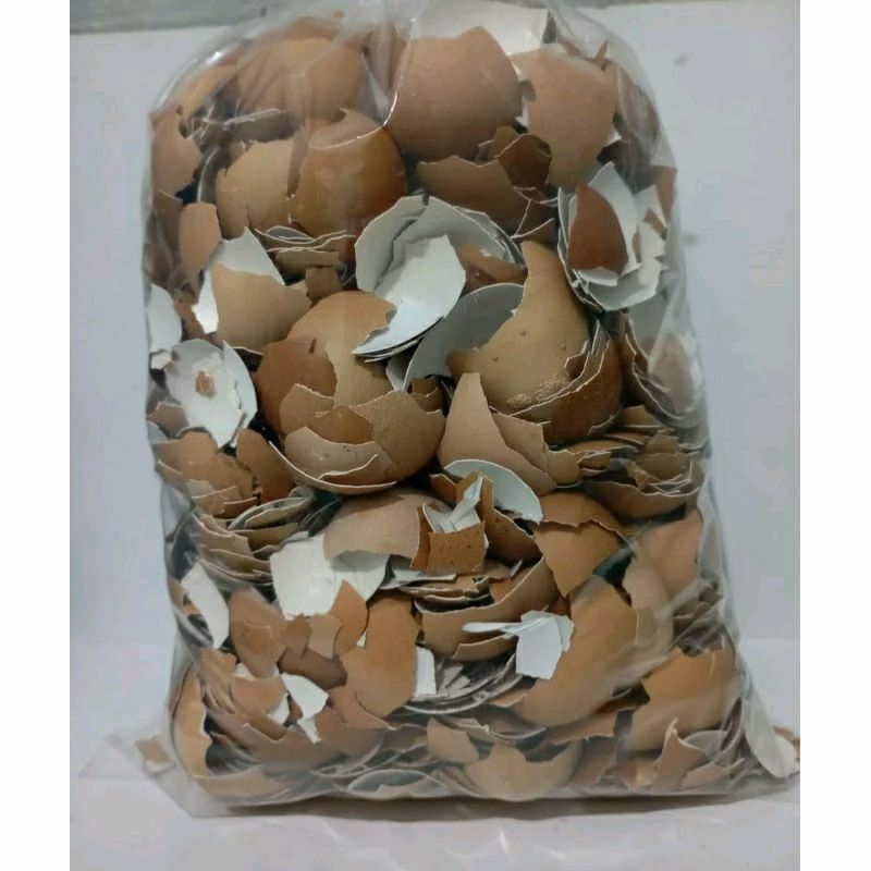 Jual Cangkang telur kulit telur 1kg | Shopee Indonesia