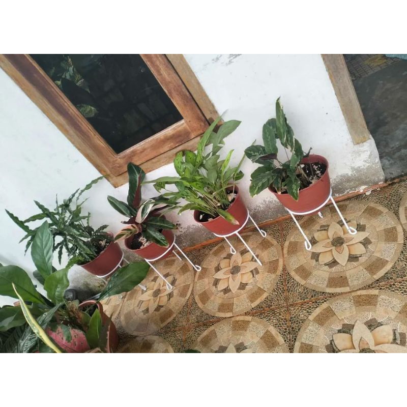 Jual Standing Rak Pot Minimalis/Rak Pot Bunga Besi/Wadah Rak Tanaman ...