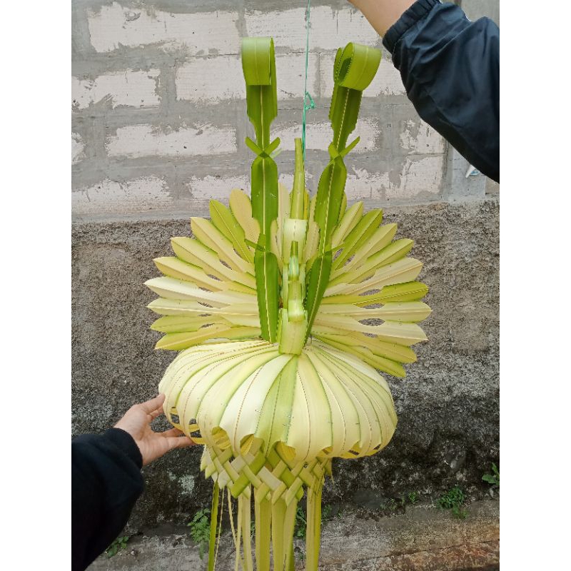 Jual Janur kunin umbul" pernikahan/khitanan asli segar CIMAHI BDG ...
