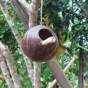 Jual GLODOK BATOK KELAPA / RUMAH BURUNG (model 07) | Shopee Indonesia