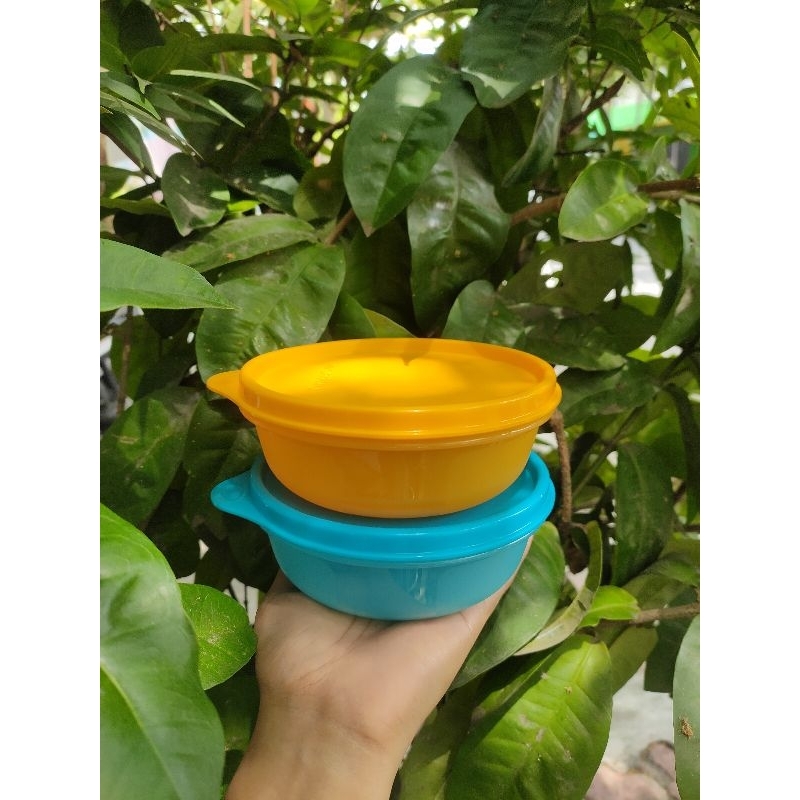 Jual TUPPERWARE // Tempat Makan // Junior Modular Bowl 300ml | Shopee ...